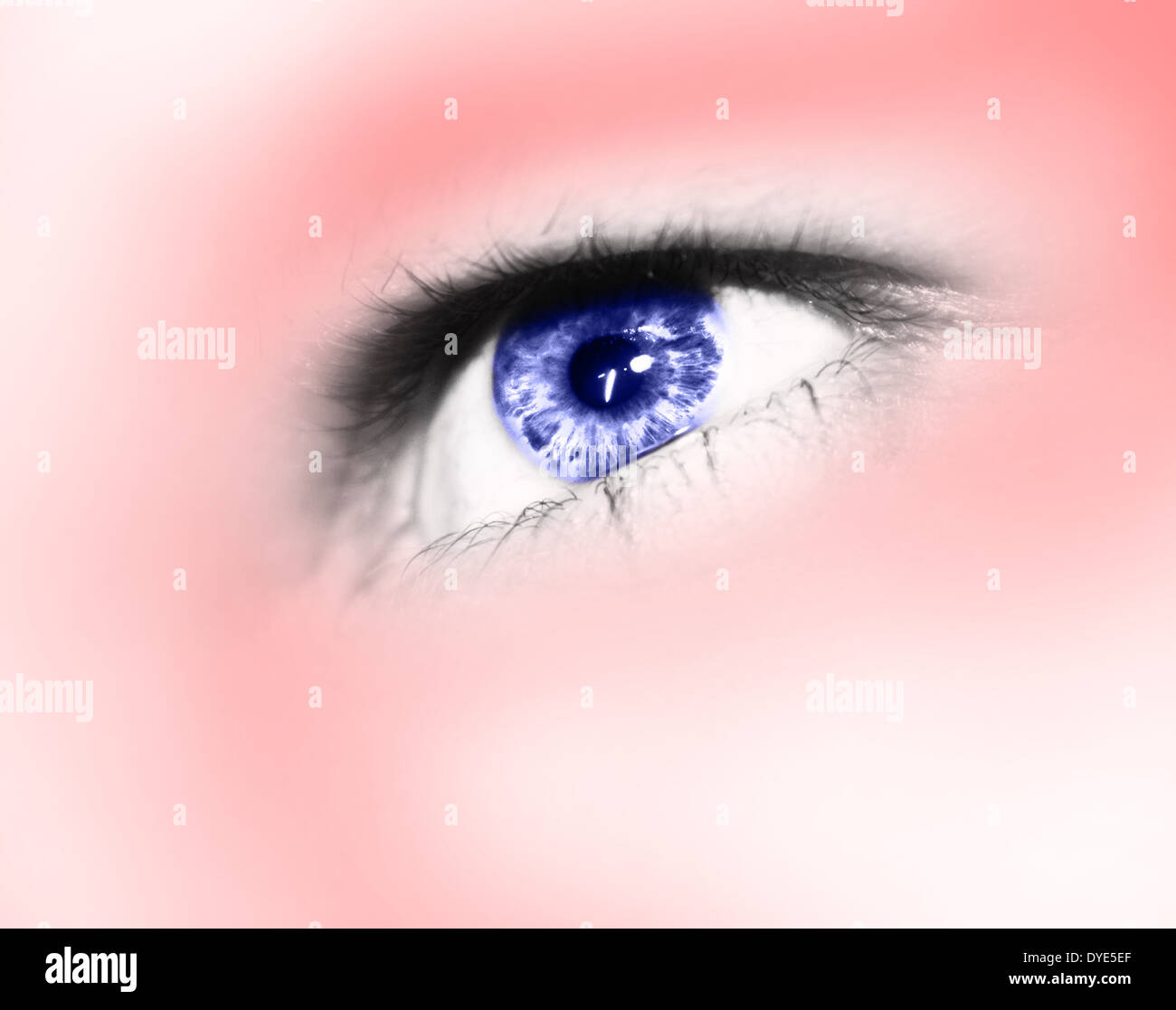 Detailed close-up view of the human eye Stock Photo - Alamy