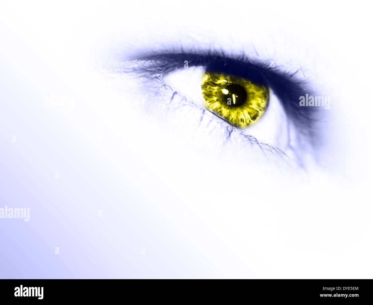 Detailed close-up view of the human eye Stock Photo - Alamy