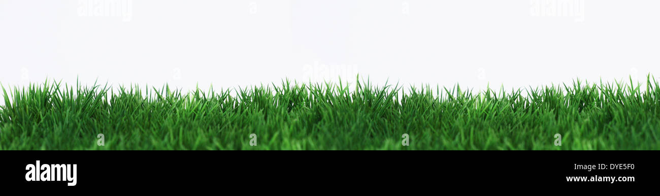 Green field on white background Stock Photo - Alamy