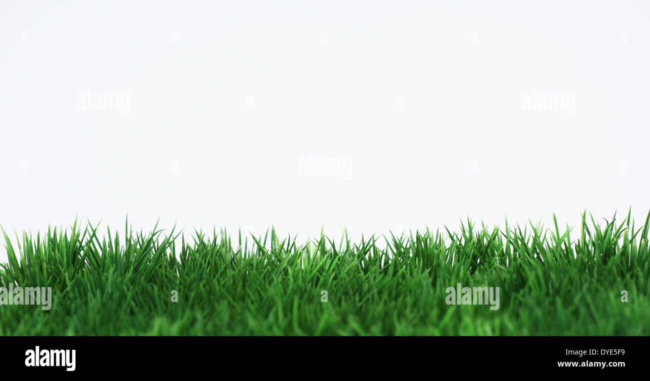Green field on white background Stock Photo - Alamy