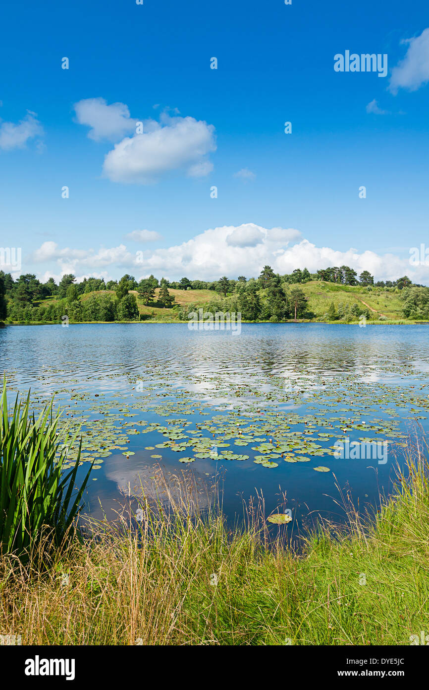 Landscape with lake Stock Photo - Alamy