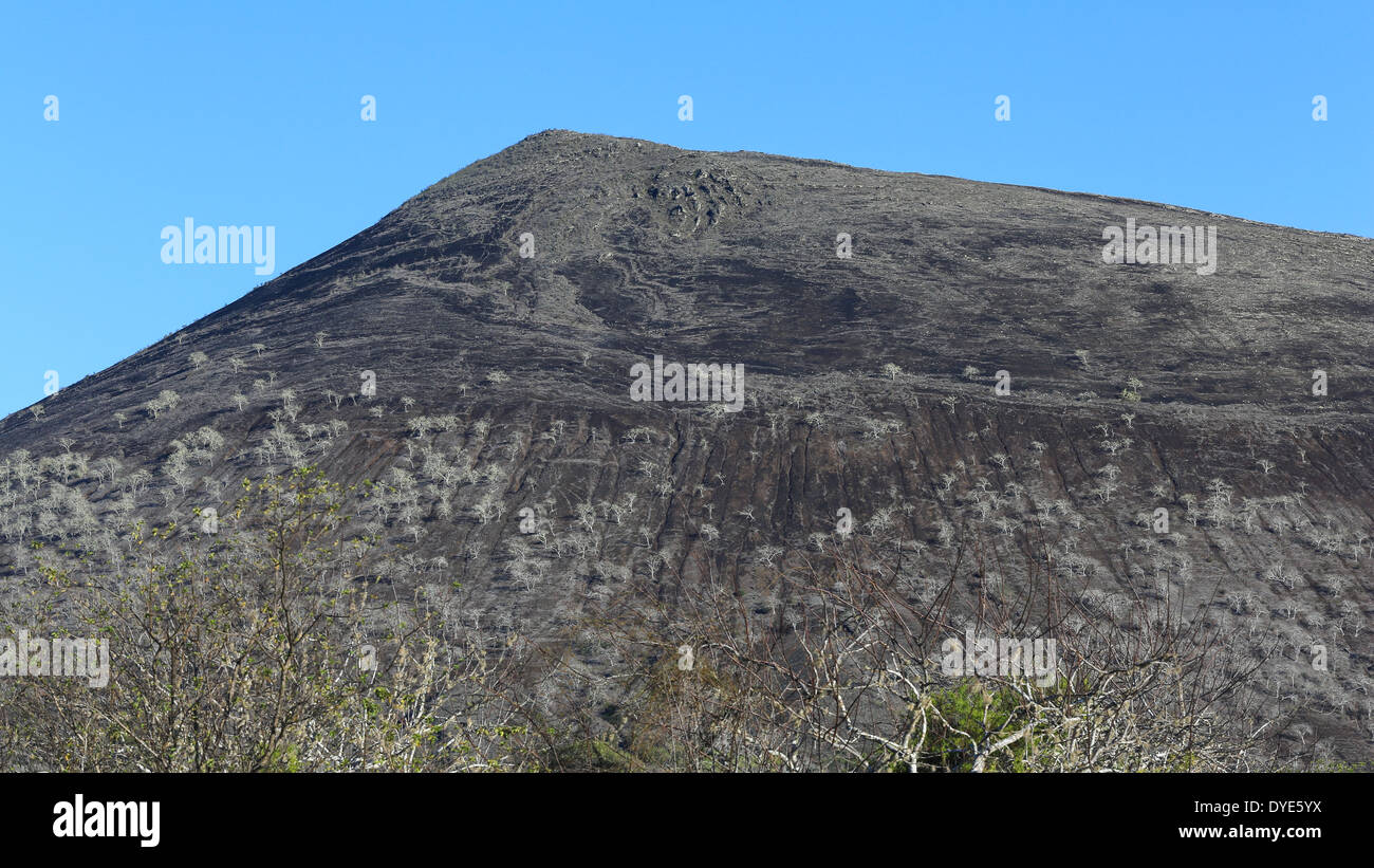 Small islands covered trees hi-res stock photography and images - Alamy
