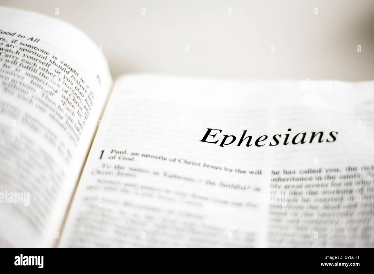 Words life holy bible hi-res stock photography and images - Alamy