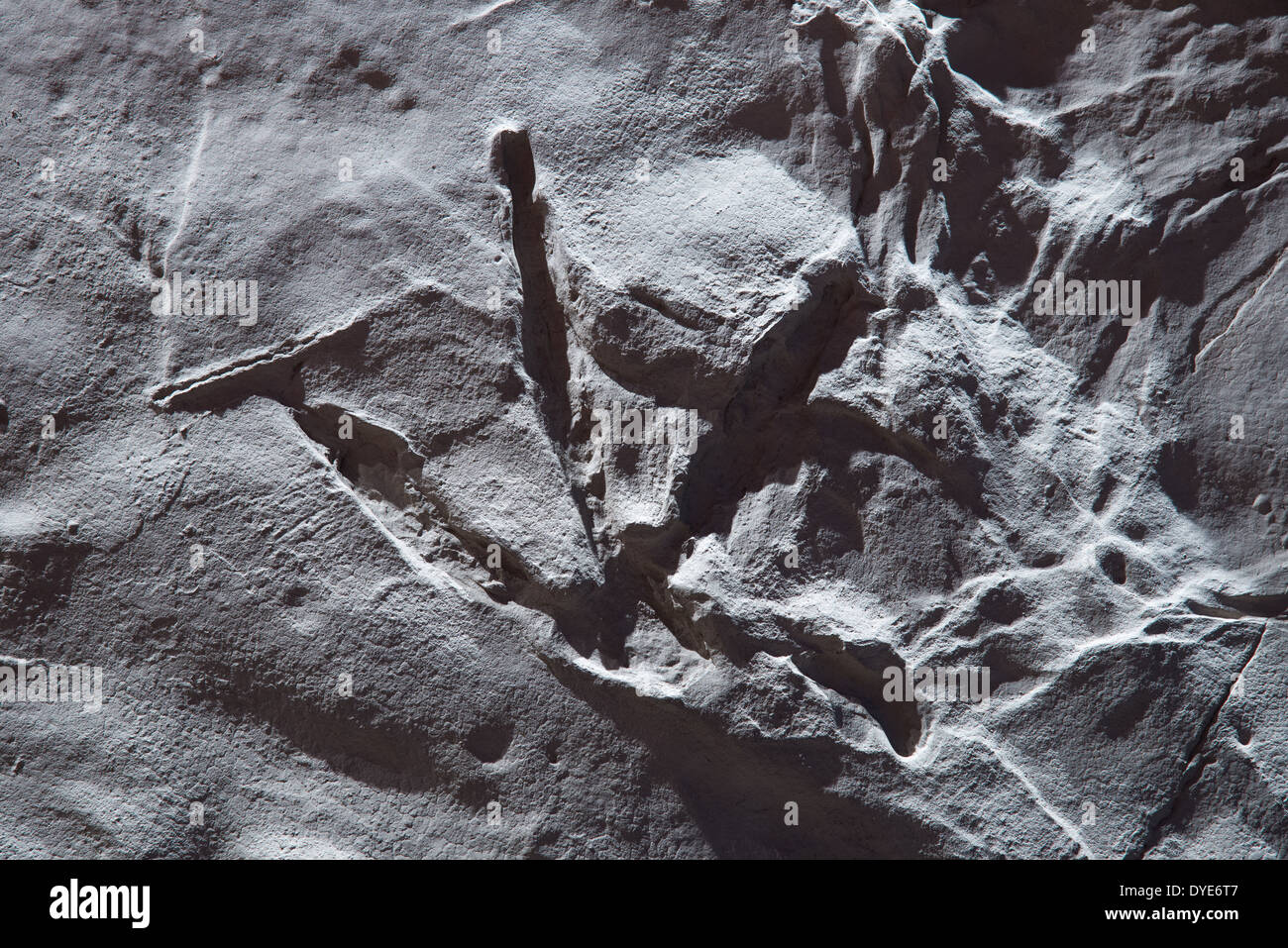 Three toed dinosaur footprint hi-res stock photography and images - Alamy