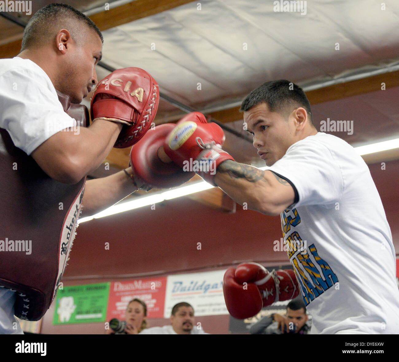 Robert garcia boxing hi-res stock photography and images - Alamy