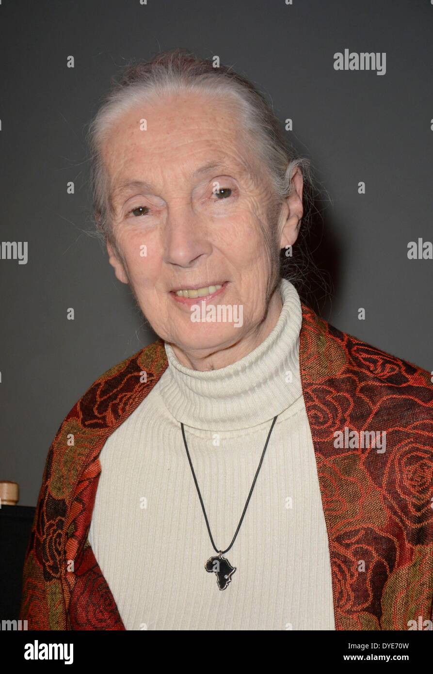 Jane goodall appearance hi-res stock photography and images - Alamy