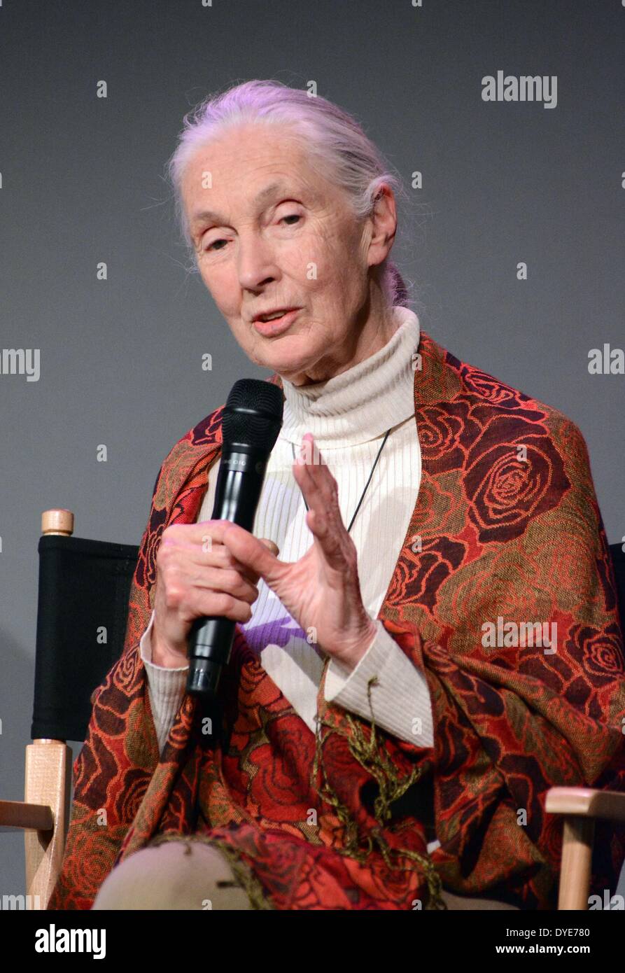 New York, NY, USA. 15th Apr, 2014. Jane Goodall at in-store appearance ...