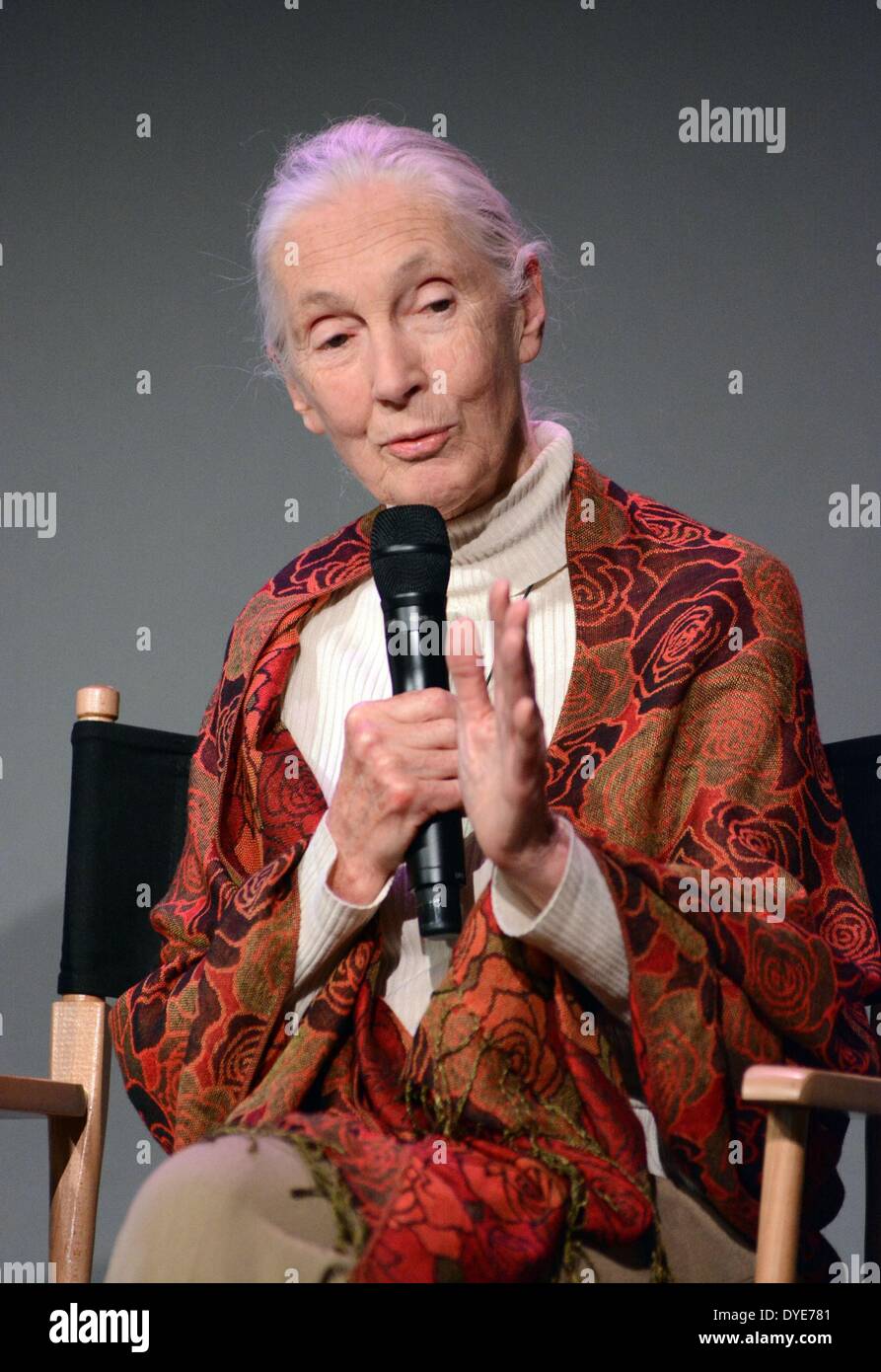 Jane goodall appearance hi-res stock photography and images - Alamy
