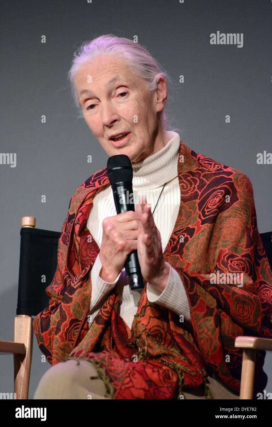 New York, NY, USA. 15th Apr, 2014. Jane Goodall at in-store appearance ...