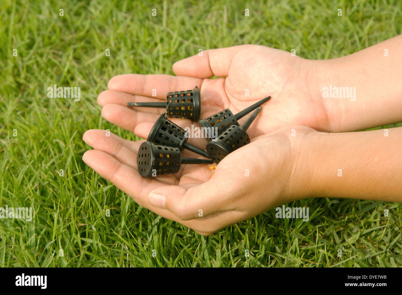 Close up photo of slow-release fertilizer baskets in hand Stock Photo ...