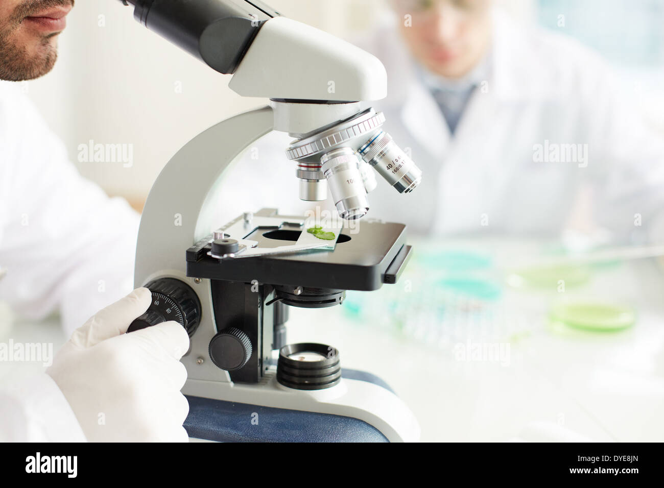 Male clinician studying bio sample in microscope Stock Photo - Alamy