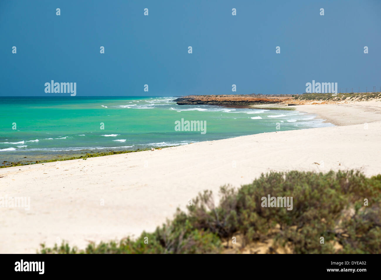 Beach oman white beach hi-res stock photography and images - Alamy
