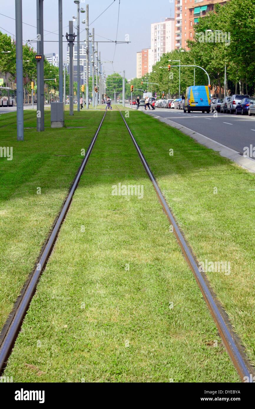 Barcelona tram grass hi-res stock photography and images - Alamy