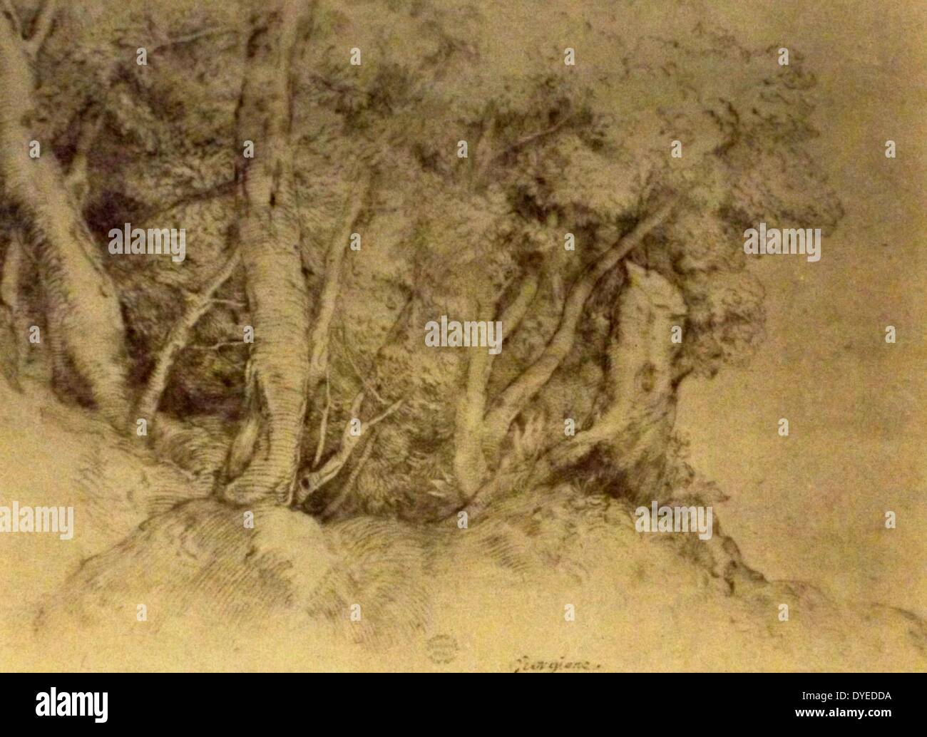 Incomplete sketch of a group of trees by Titian (1485 - 1576) Italian ...