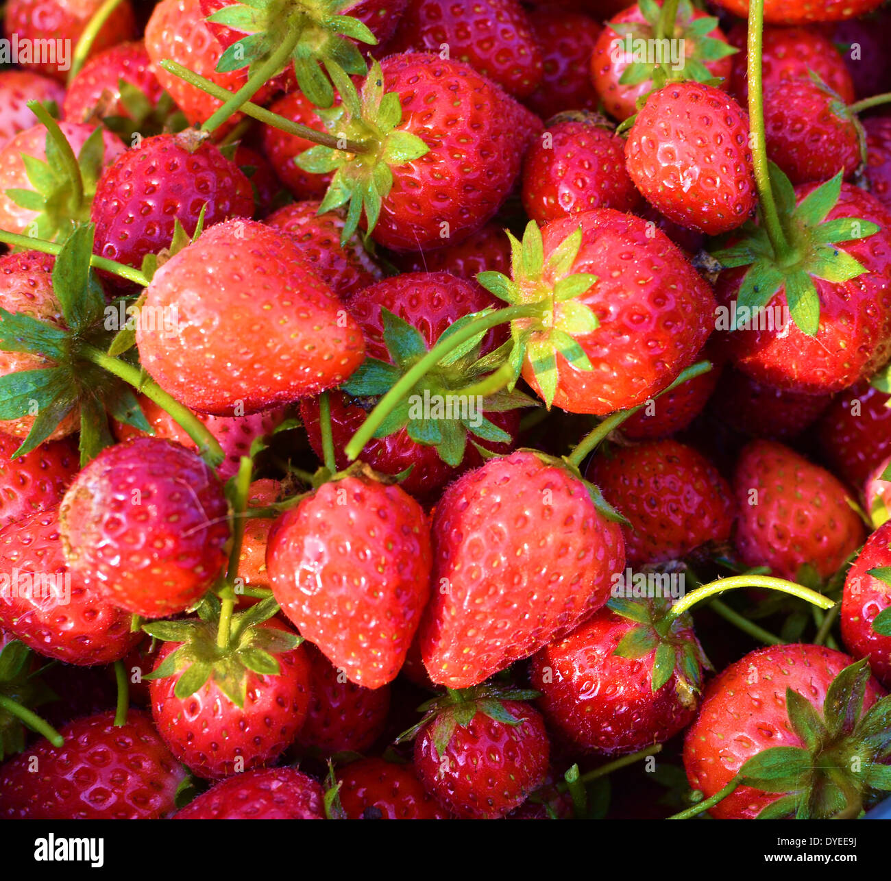 Strawberry background hi-res stock photography and images - Alamy