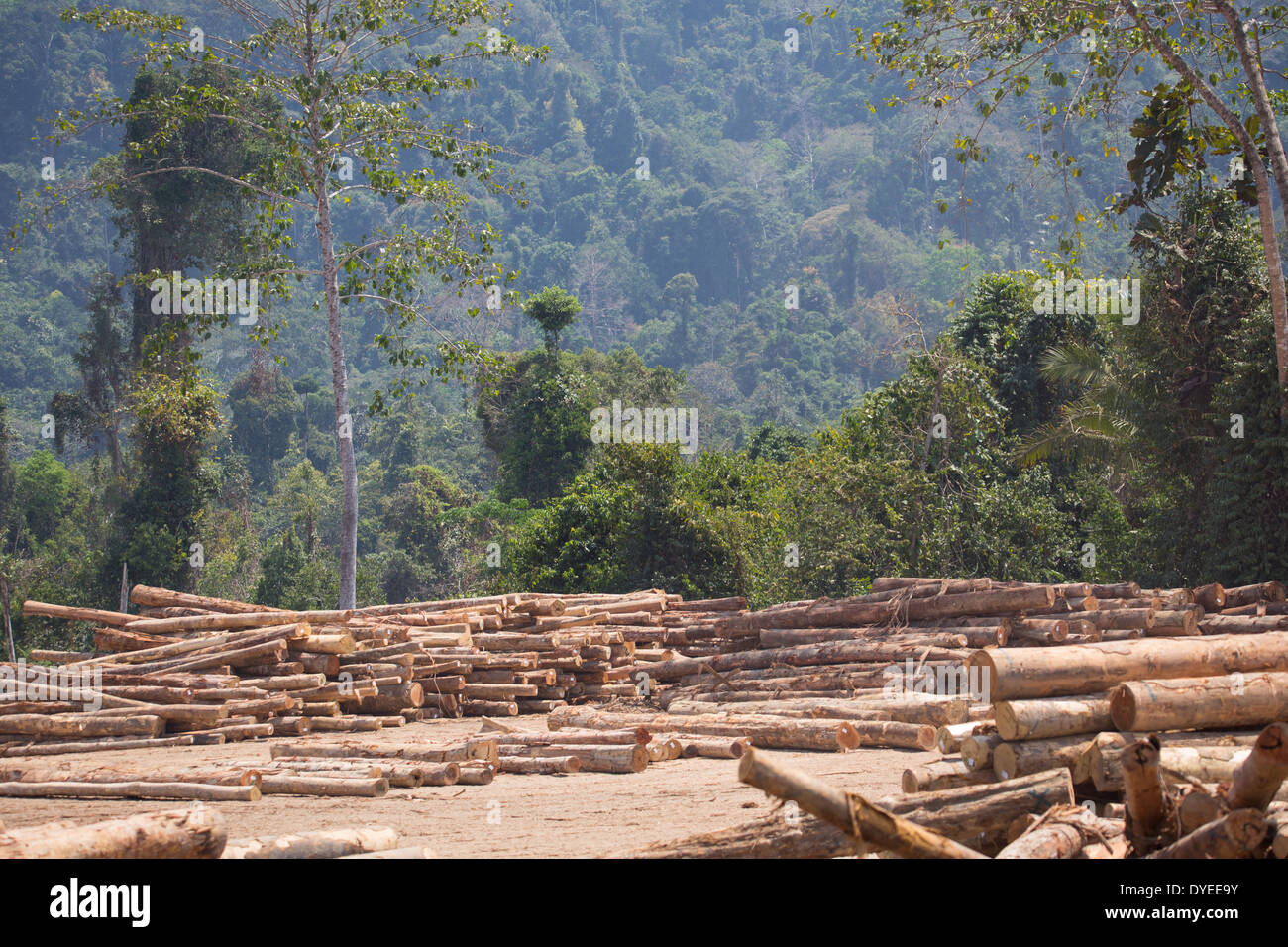 Logging Camp Stock Photos & Logging Camp Stock Images - Alamy