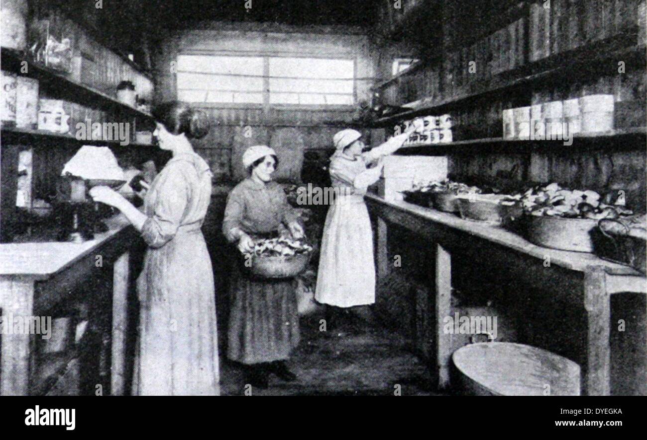 World War 1 - Cooks 'assembling' the materials for apple-puddings for ...