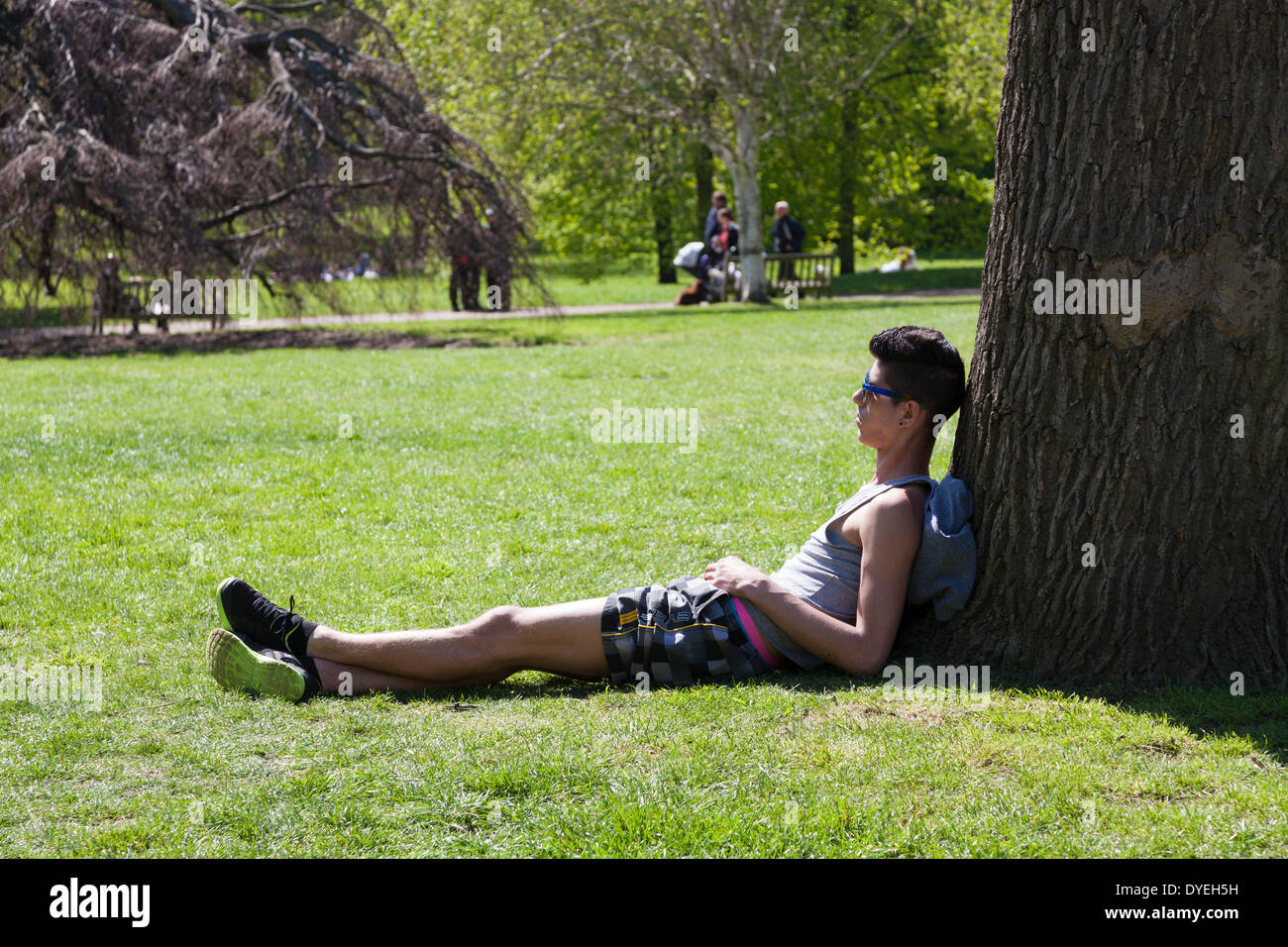 Young man sitting against tree in sunshine in Hyde Park Stock Photo - Alamy