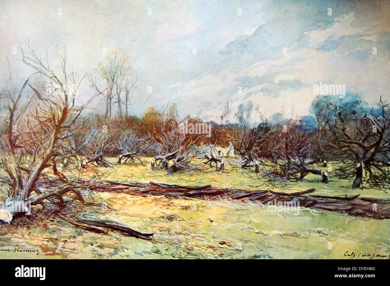 World War 1 - A ruined orchard in the rural areas after its destruction ...