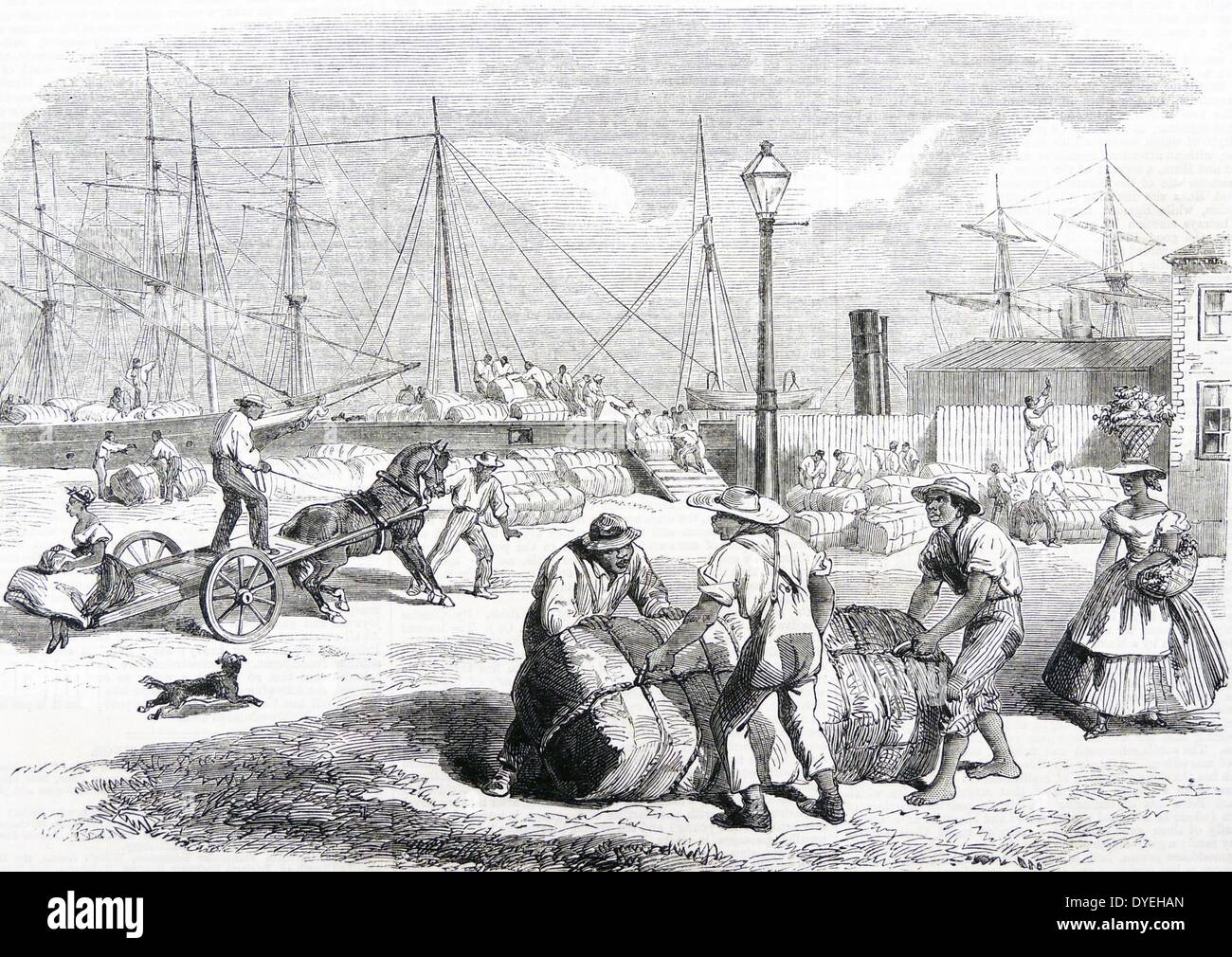 American Civil War: Unloading bales of cotton at Nassau, Bahamas ...