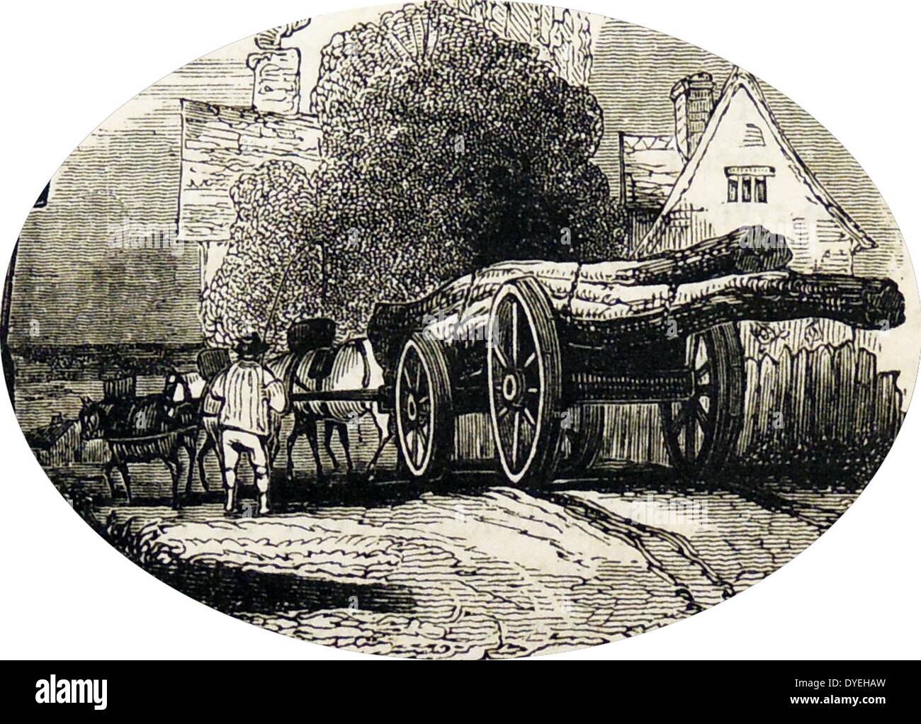 Horse-drawn timber wagon. Woodcut, London, c1840 Stock Photo - Alamy