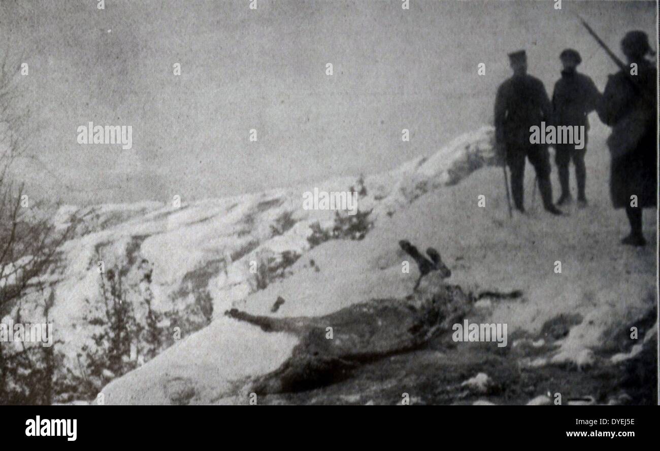 Semi devoured by wolves 1917 history historical archive archival hi-res ...