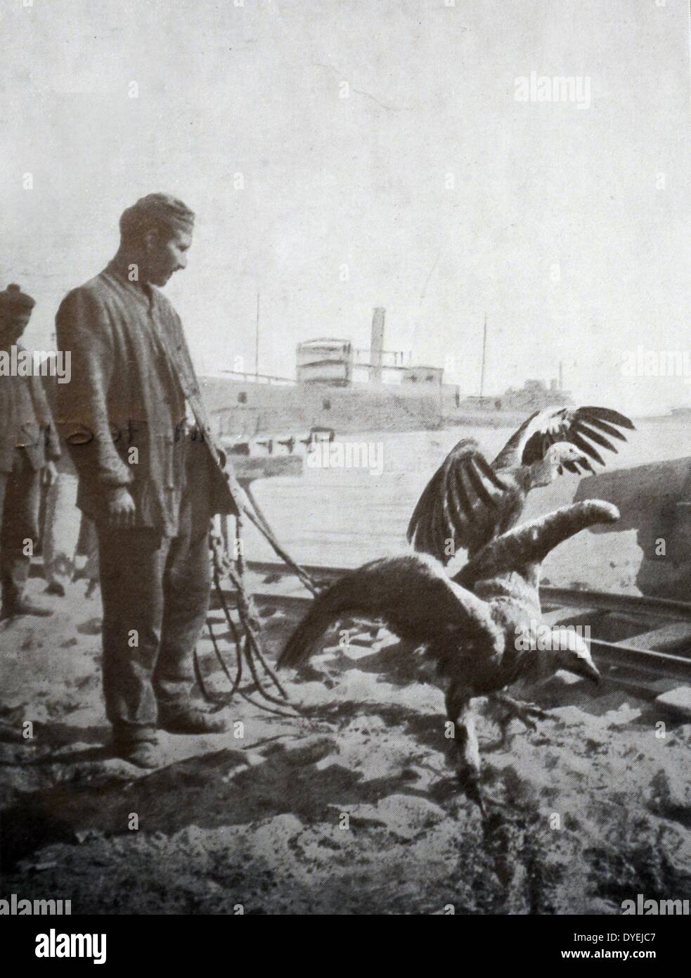 World War I - French colonial soldiers at rest in the Middle East ...