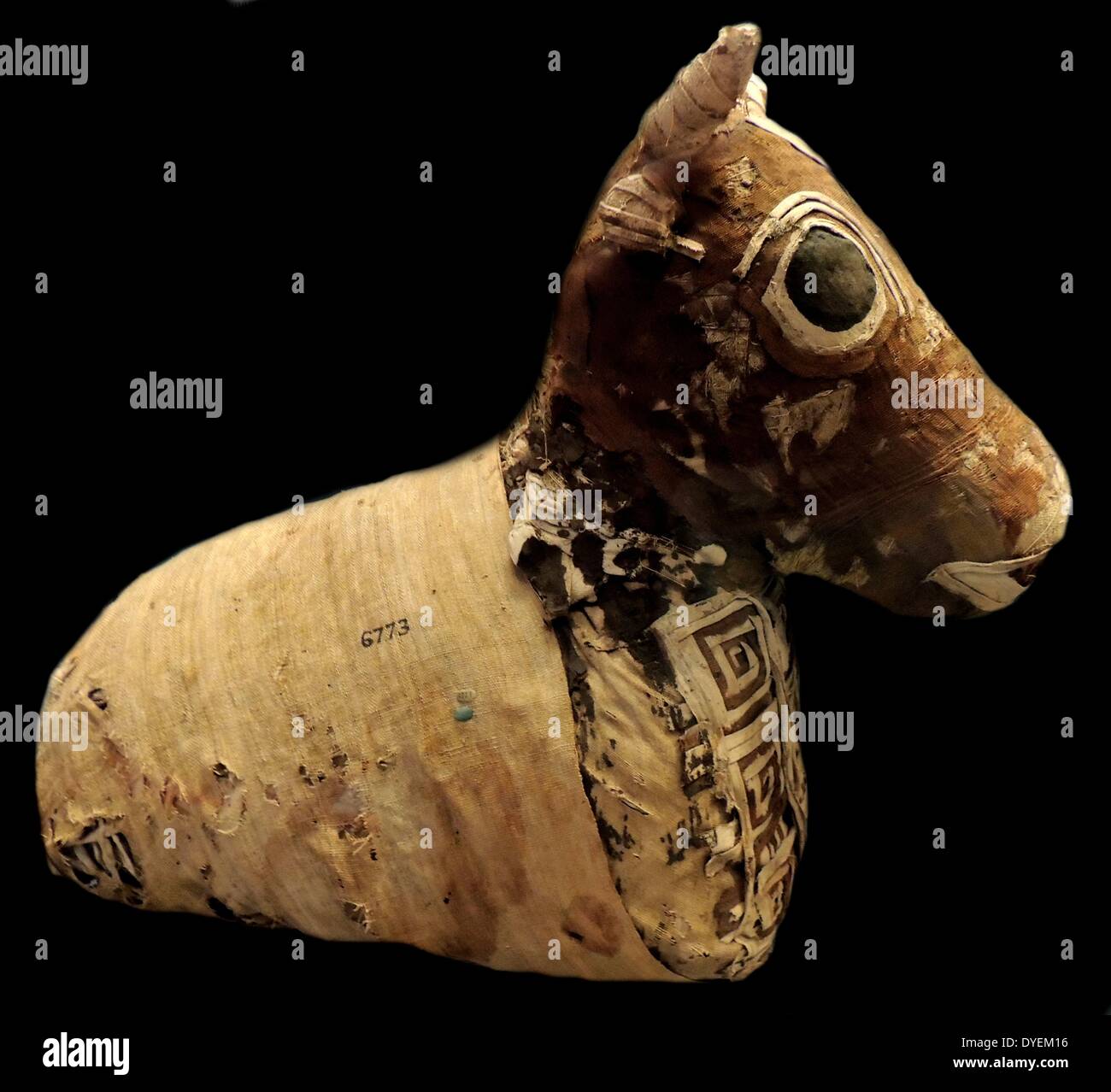 Mummy of a Young Bull 20 B.C. Thebes Stock Photo - Alamy