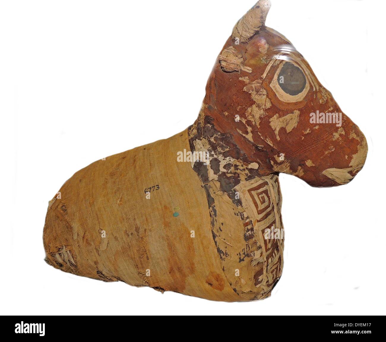 Mummy of a Young Bull 20 B.C. Thebes Stock Photo - Alamy
