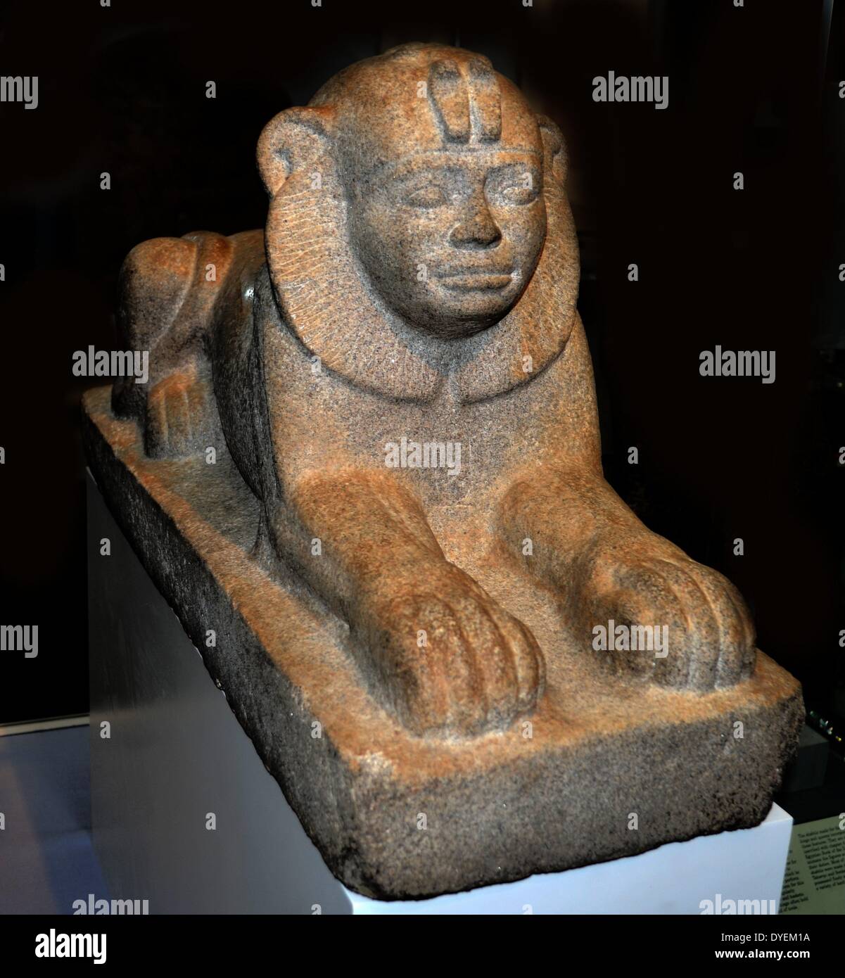 The Granite Sphinx of Taharqo 680 B.C. From Temple T at Kawa, Sudan ...