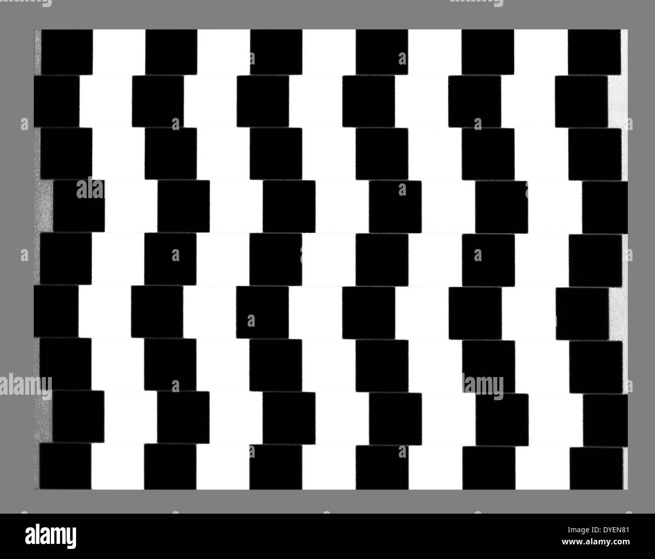 The café wall illusion is an optical illusion, first described by ...