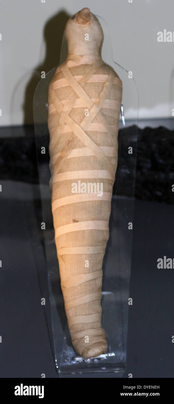 Egyptian mummified animals included birds, cats, snakes and crocodiles ...