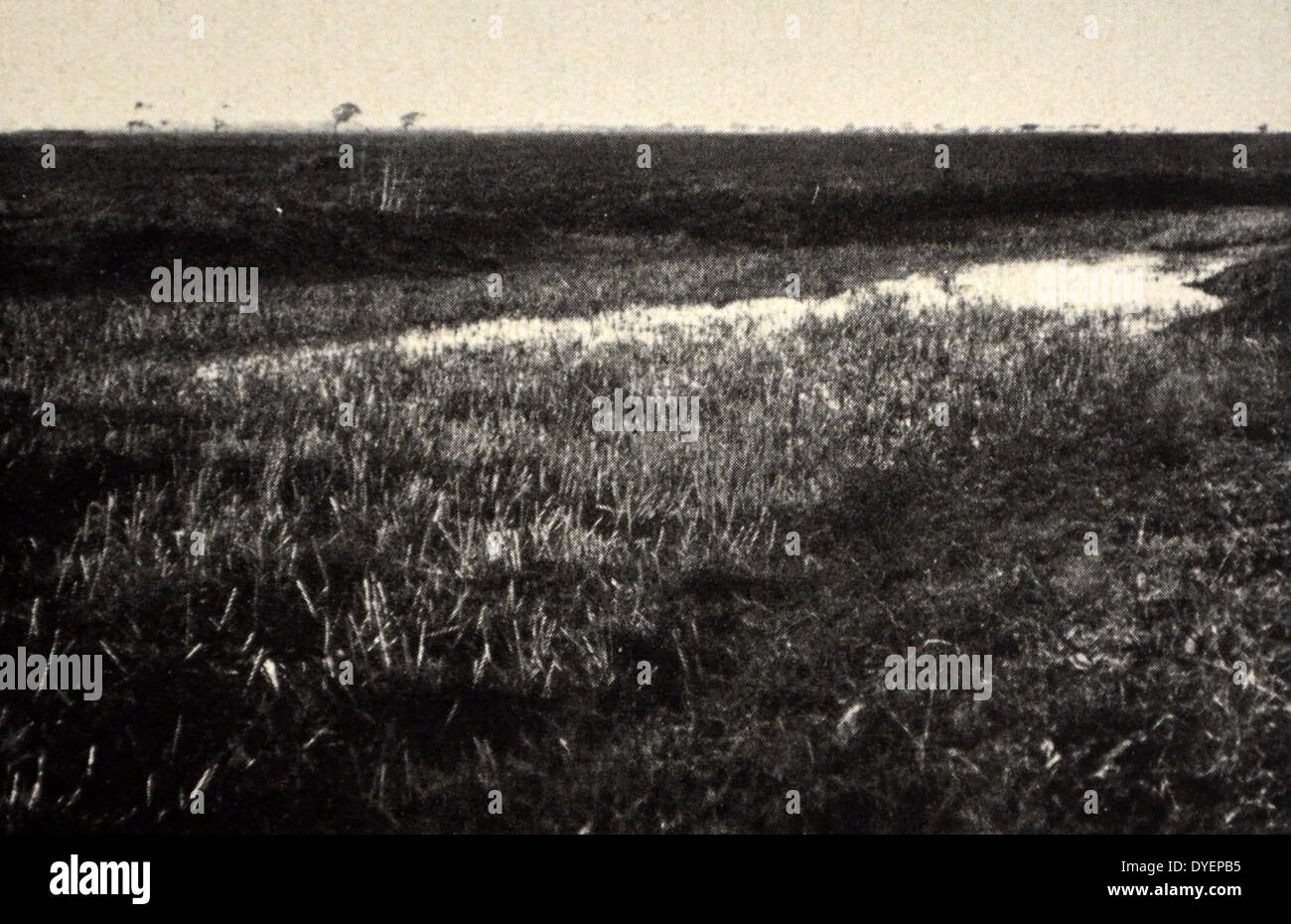 Italian marshlands converted to agricultural land in Fascist Italy 1928 ...