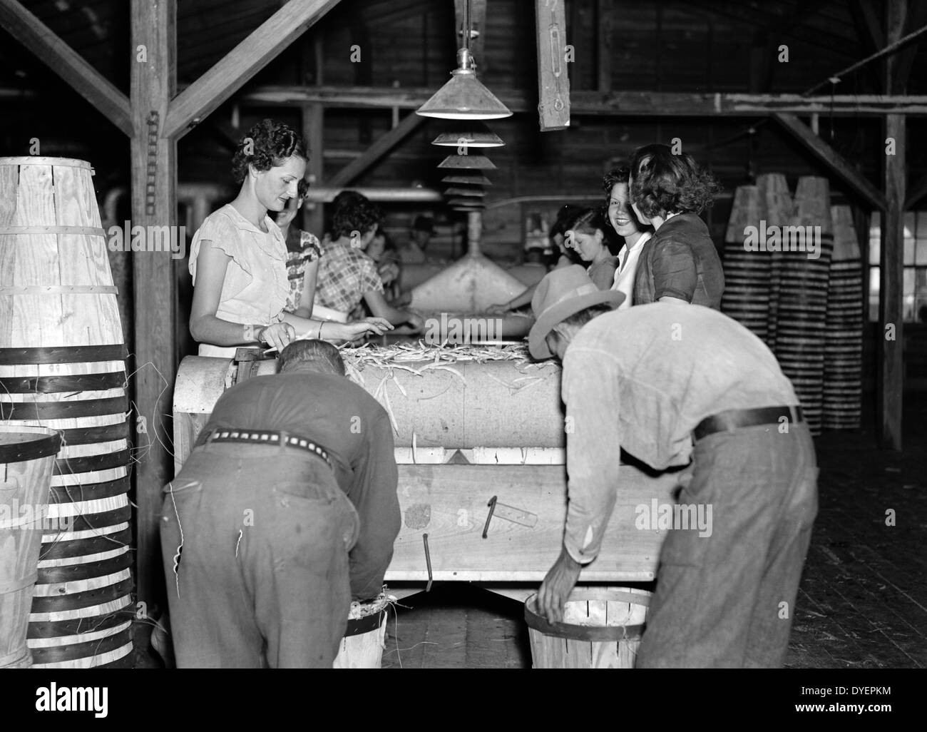 Scene in vegetable packing plant at deerfield hi-res stock photography ...