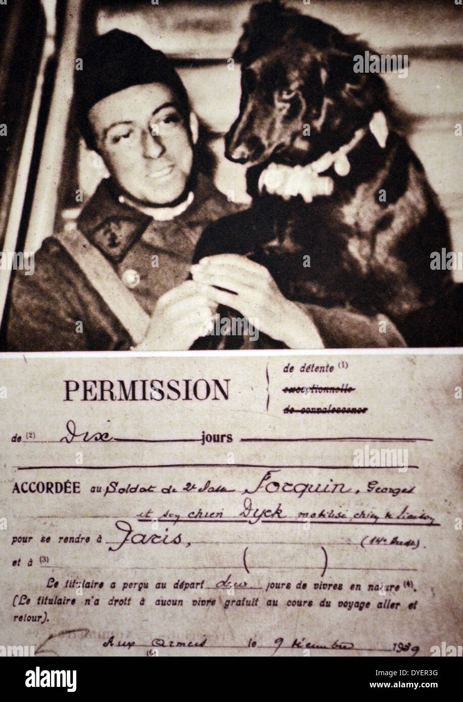 World War Two: French army messenger dog at a front line position 1940 ...