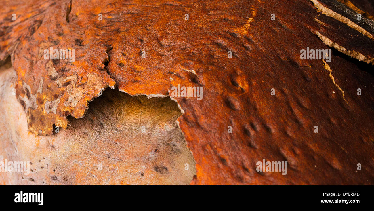 Fire patterns hi-res stock photography and images - Alamy