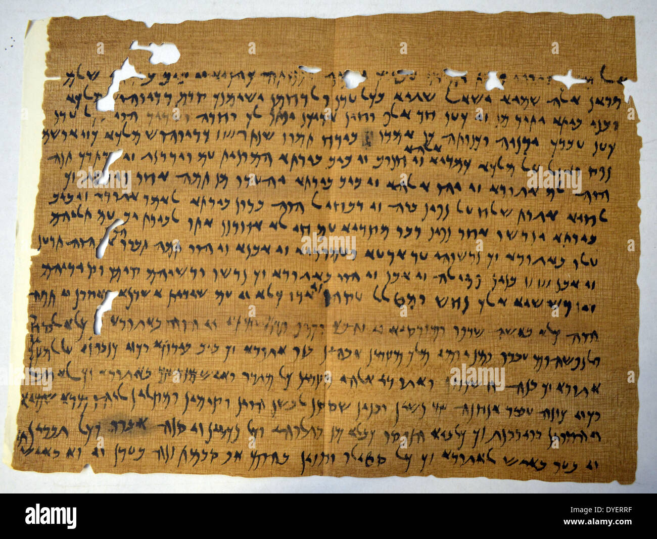 Egyptian papyrus hi-res stock photography and images - Alamy