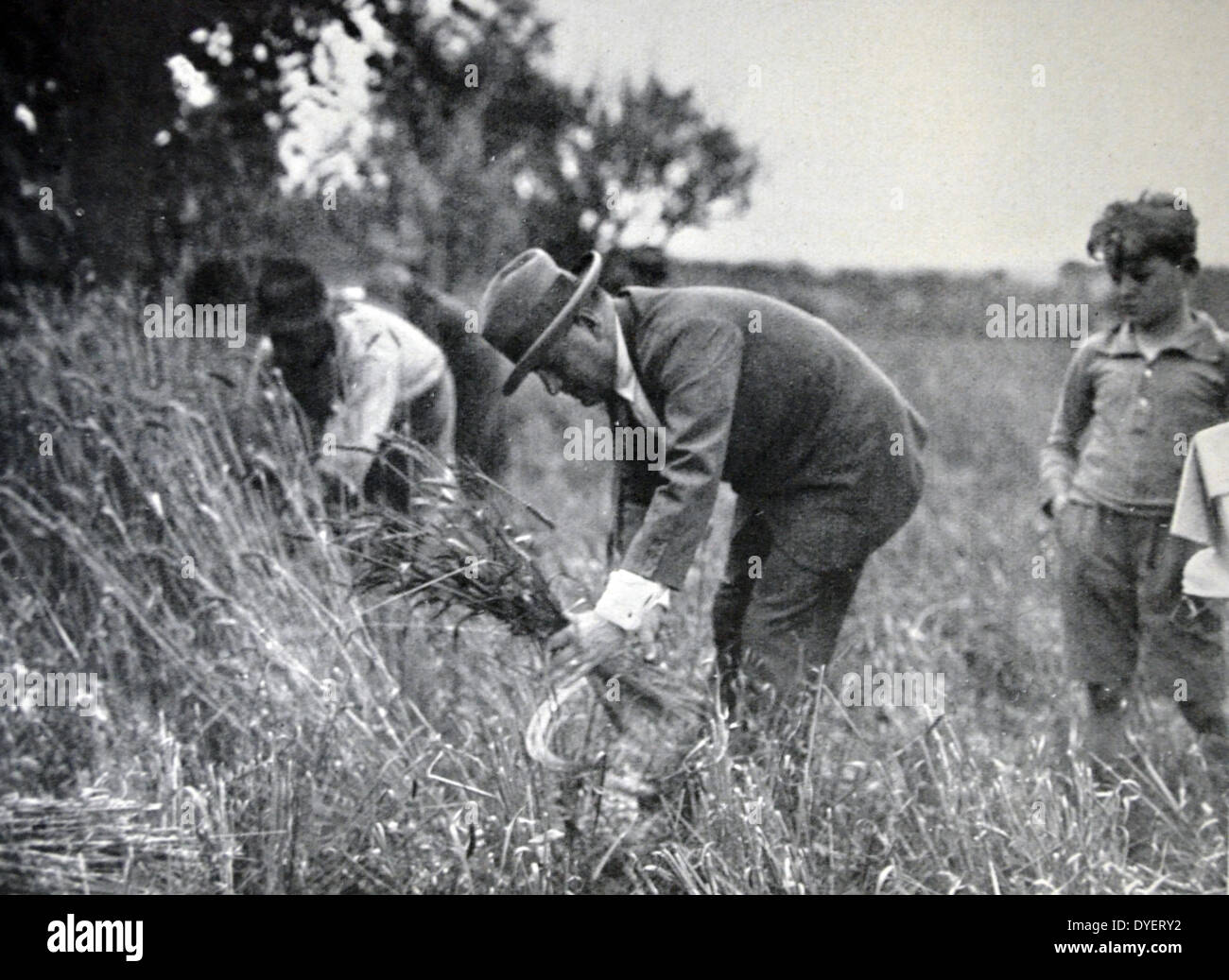 Mussolini working on a farm Stock Photo - Alamy