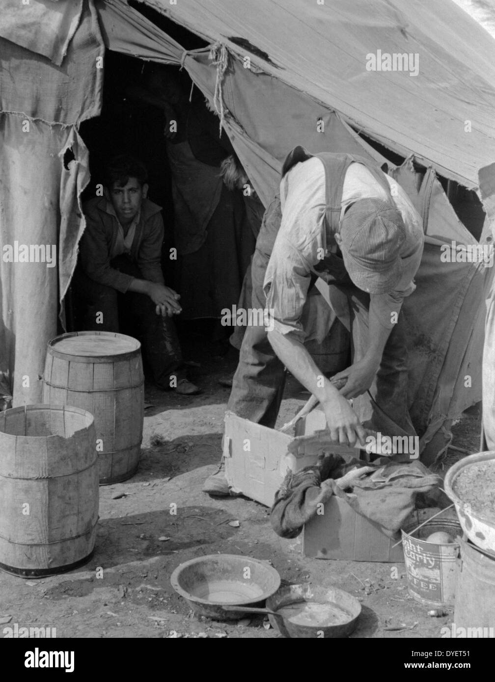 White migrant worker cleaning fish near mercedes hi-res stock ...
