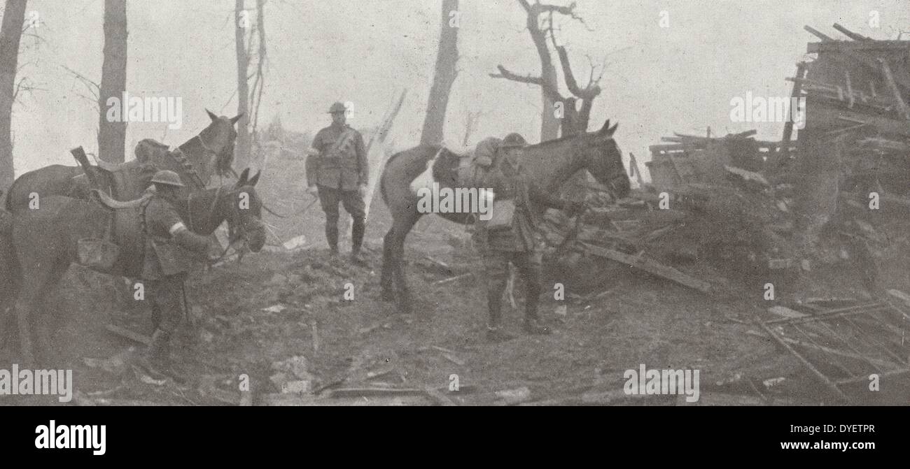 British cavalry wwi hi-res stock photography and images - Alamy