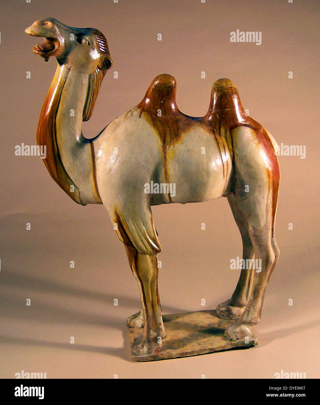 Tang dynasty camel hi-res stock photography and images - Alamy