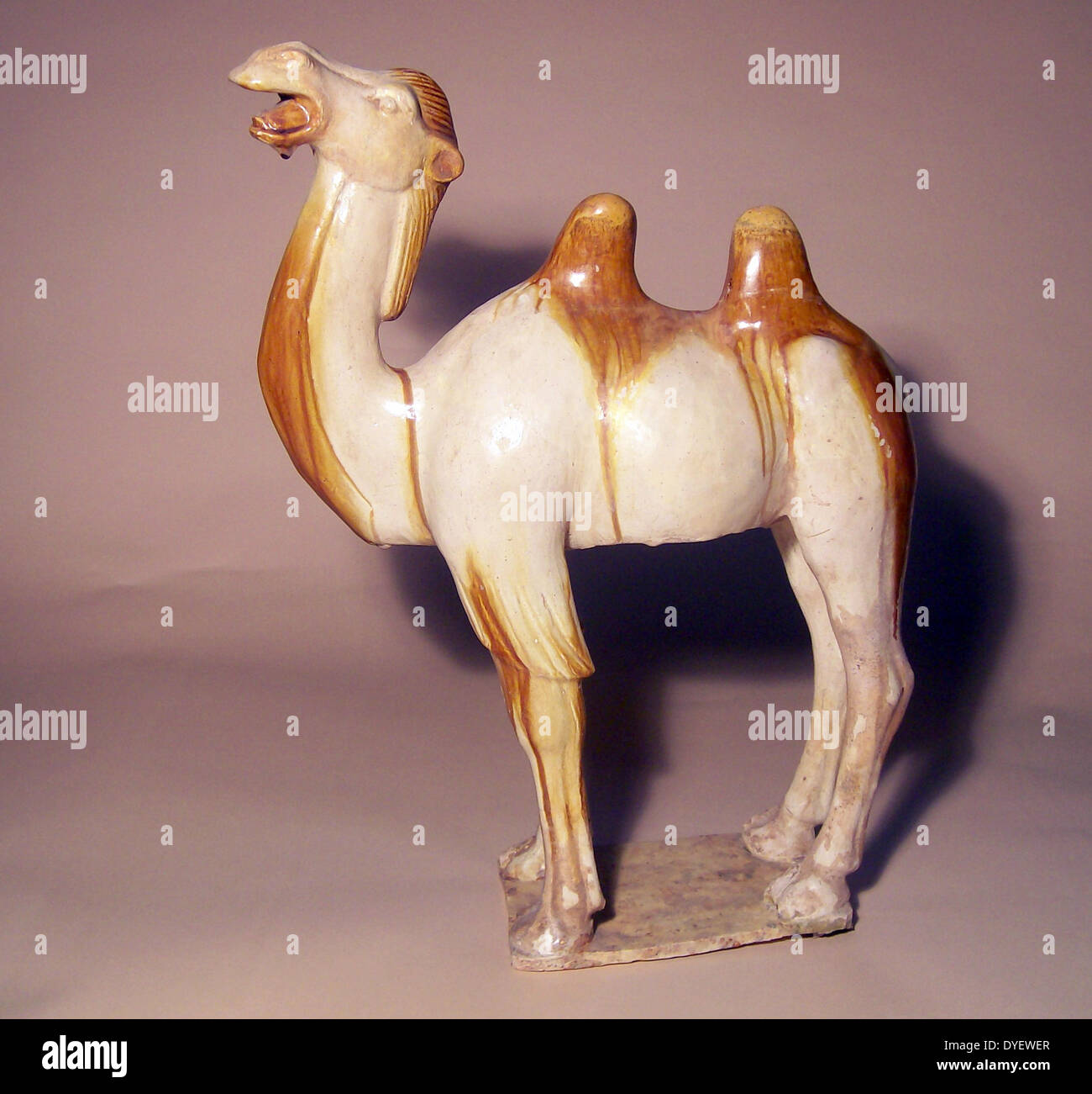 Two-humped bactrian camel. Max ht: 60 cm; Tang dynasty, China, 618 ...