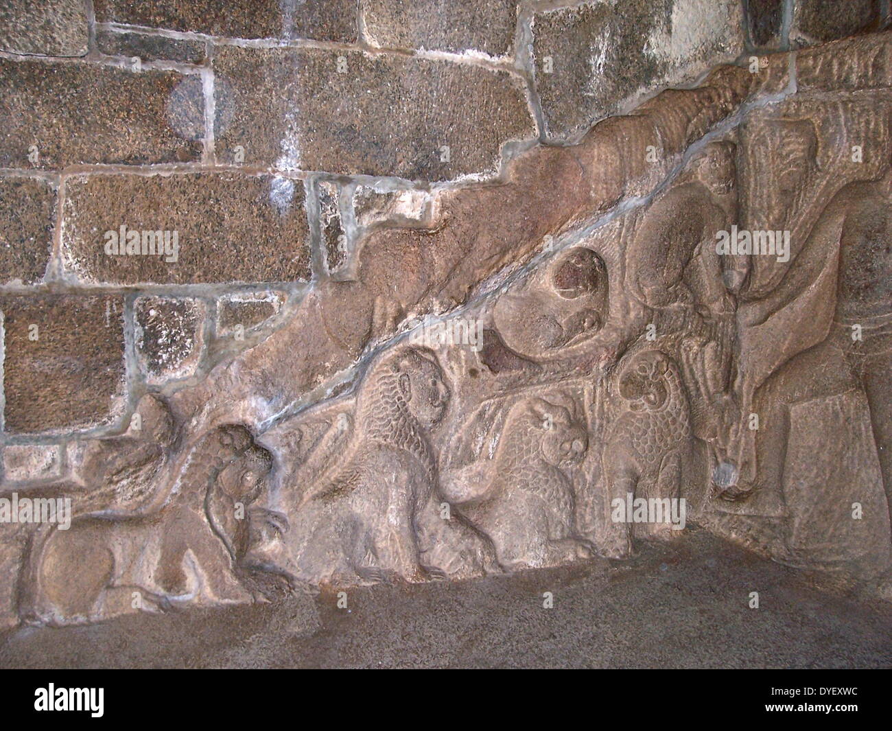 Stone lions, carved in relief, 7th century, at Marmalapuram, south of ...