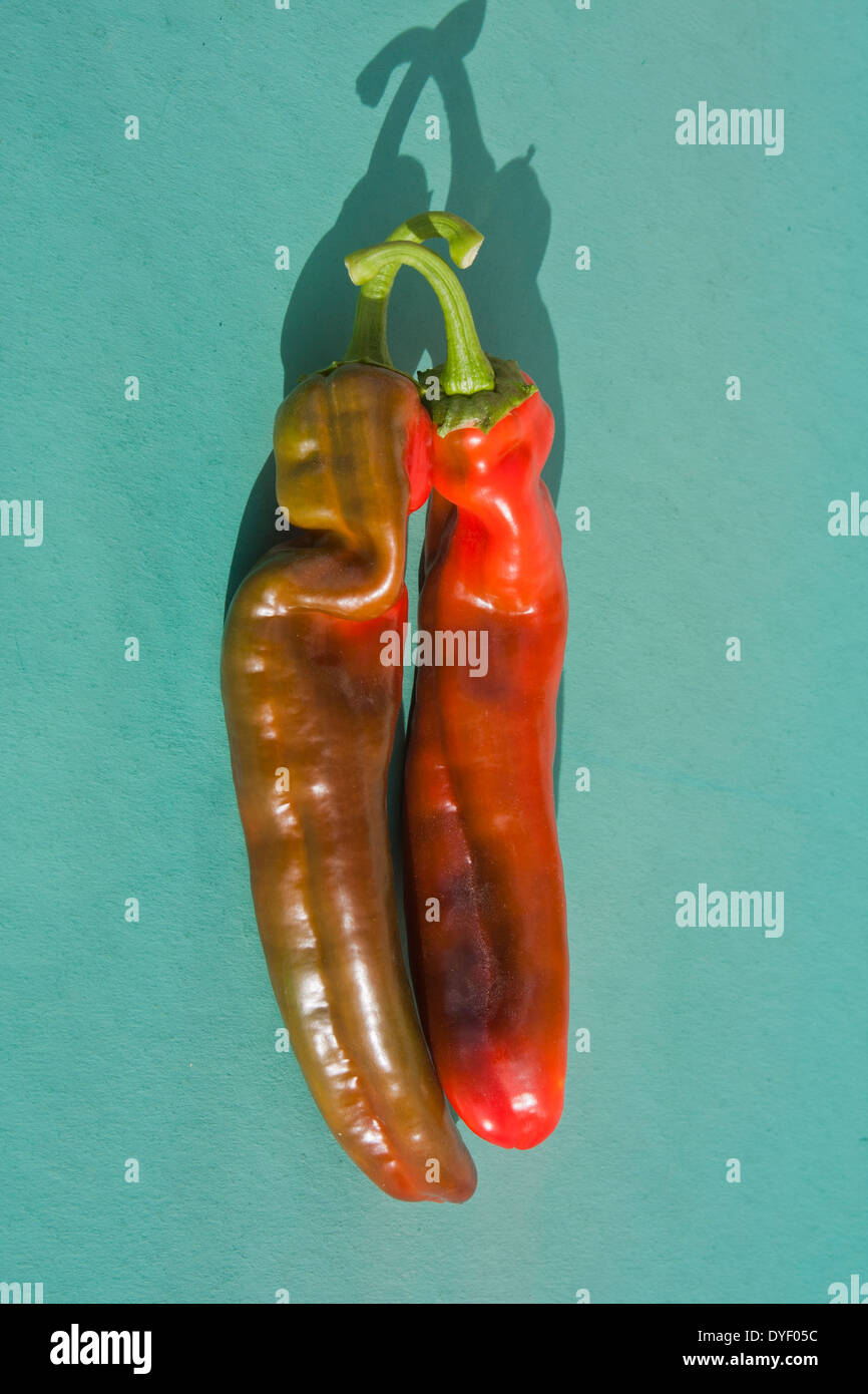 Red long chilli pepper hi-res stock photography and images - Alamy