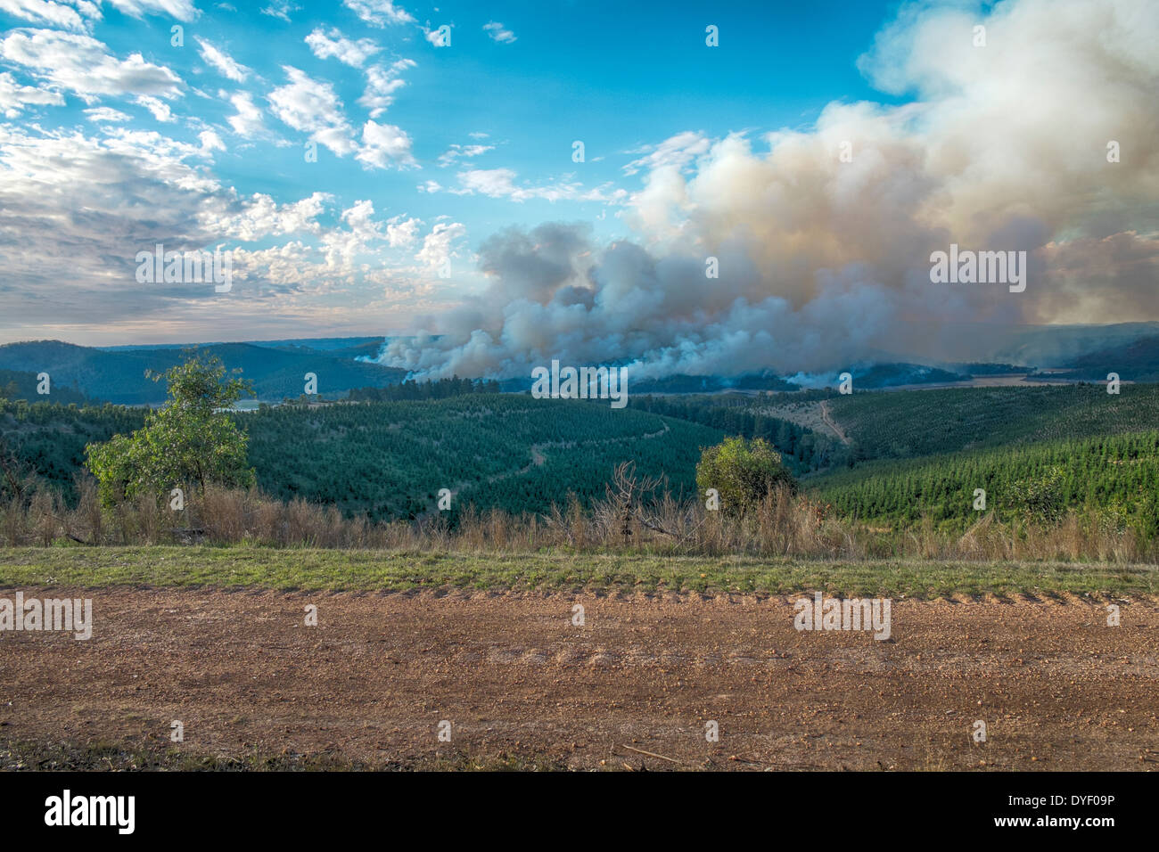 A bushfire wildfire in the Adelaide Hills Australia Stock Photo - Alamy