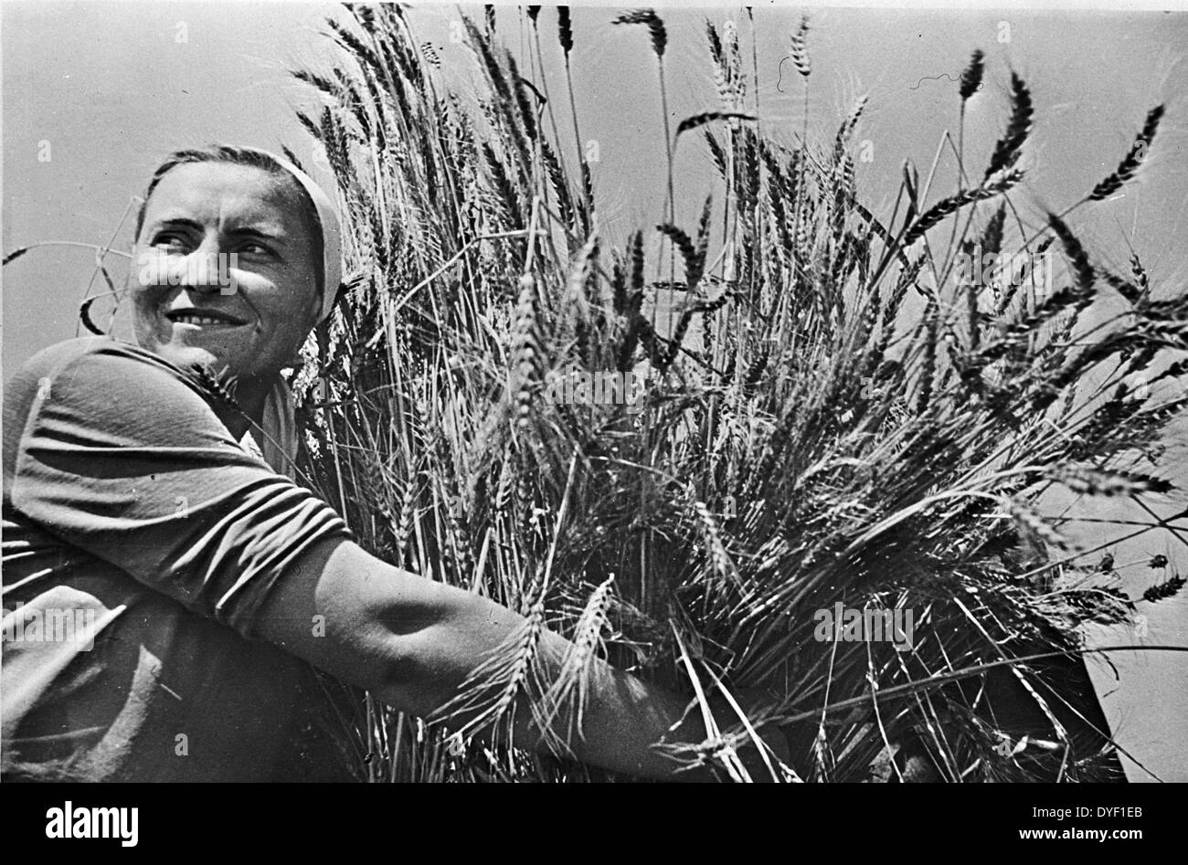 Collective farm russia hi-res stock photography and images - Alamy