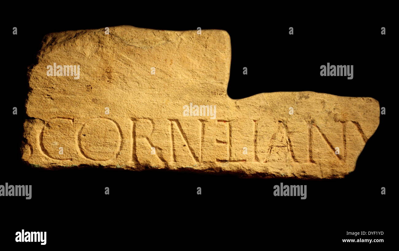 Minerva stone hi-res stock photography and images - Alamy
