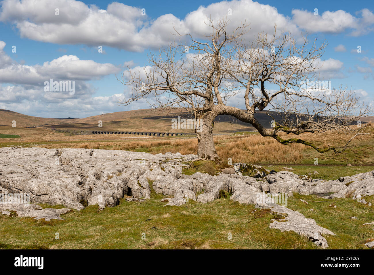 Ribblesdale viaduct hi-res stock photography and images - Alamy