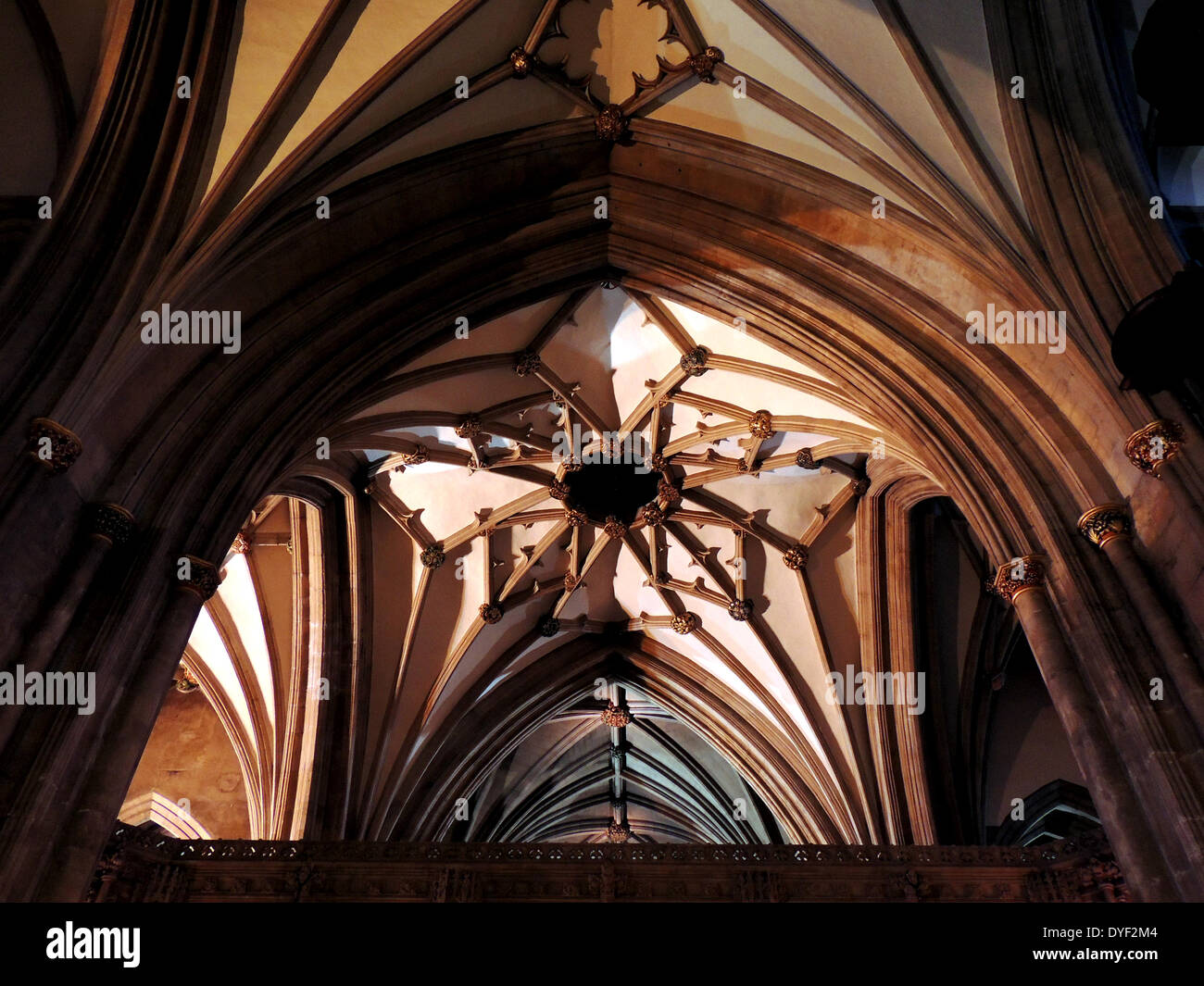 Bristol cathedral interior vault church architecture medieval hi-res ...