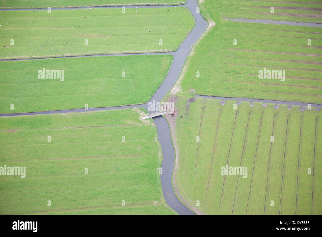 Green landscape with water and bridge from above, The Netherlands Stock ...